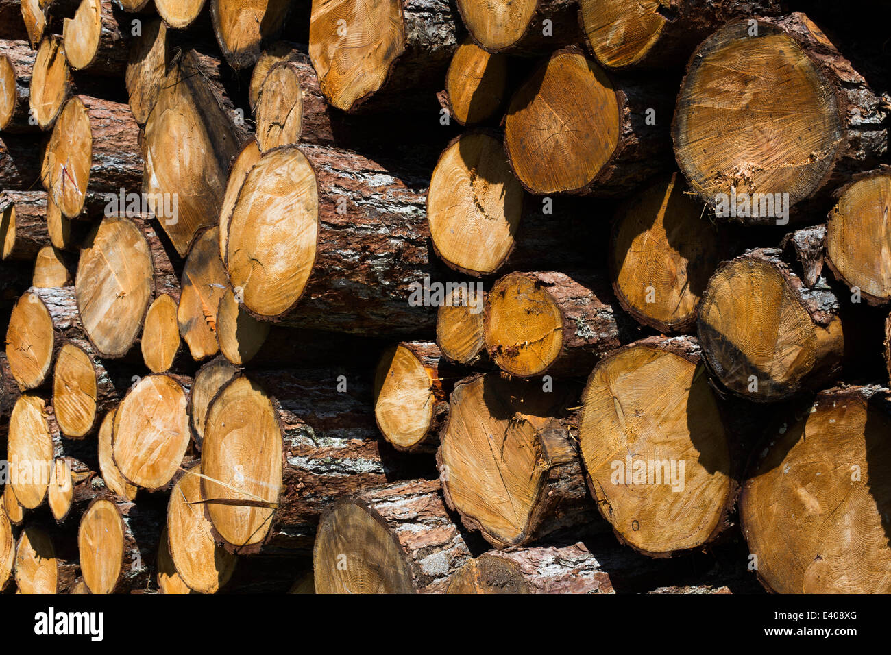 Pine logs hi-res stock photography and images - Alamy