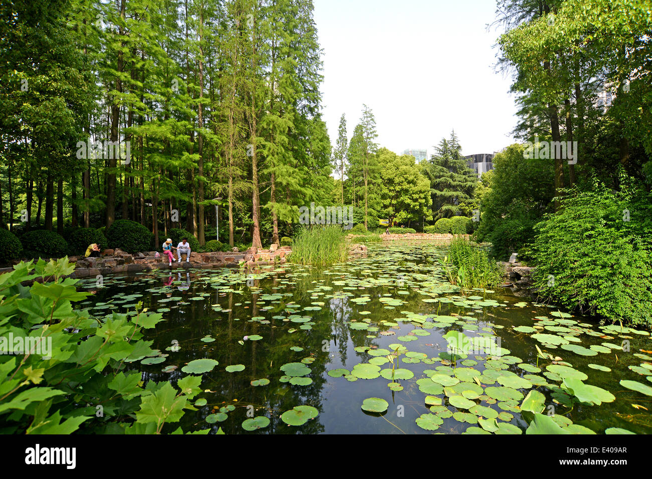 People's Square Shanghai China Stock Photo - Alamy
