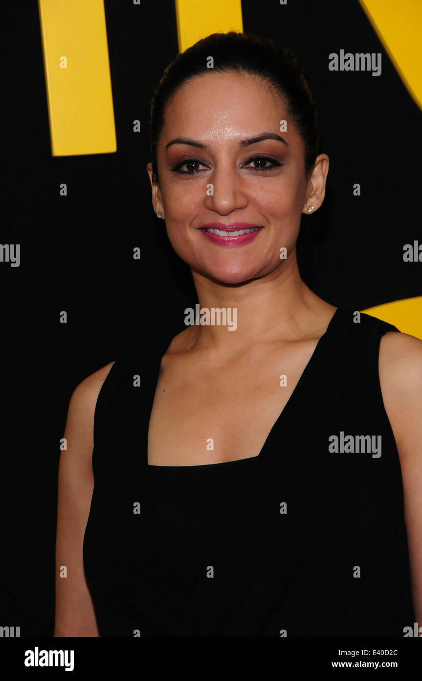 World Premiere of American Hustle Featuring: Archie Punjabi Where: NY ...