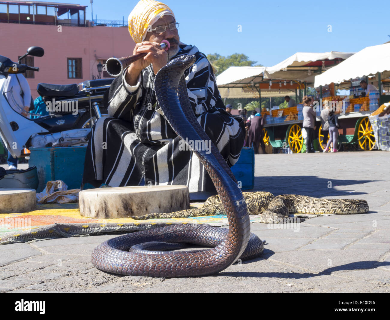 Snake charmer instrument hi-res stock photography and images - Alamy