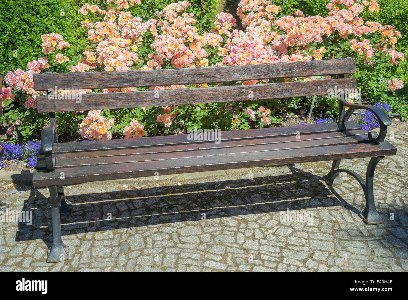 Park bench in blooming roses Stock Photo - Alamy