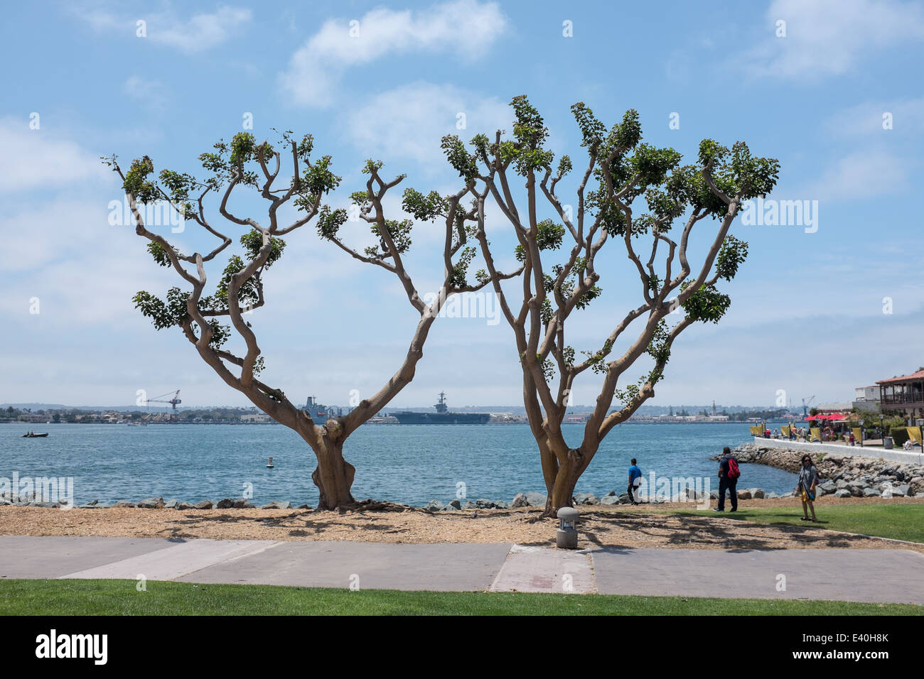 Trees overlooking bay at Seaport Village, San Diego, California, USA ...
