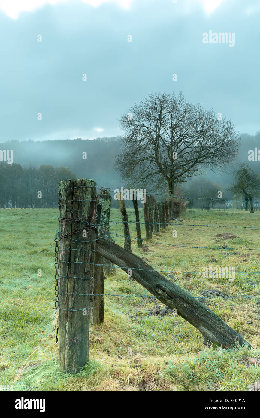 Gaume region hi-res stock photography and images - Alamy