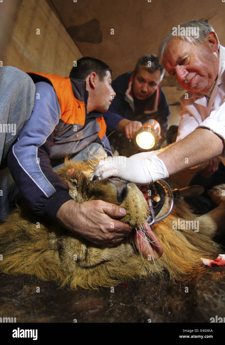 Usual self hi-res stock photography and images - Alamy