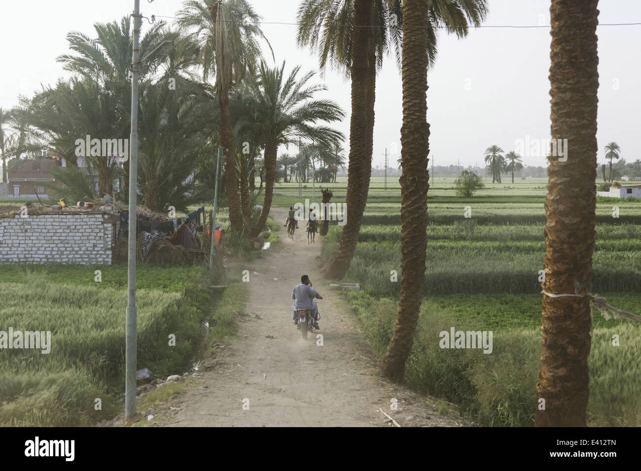 Egypt, Luxor, people on the road Stock Photo - Alamy