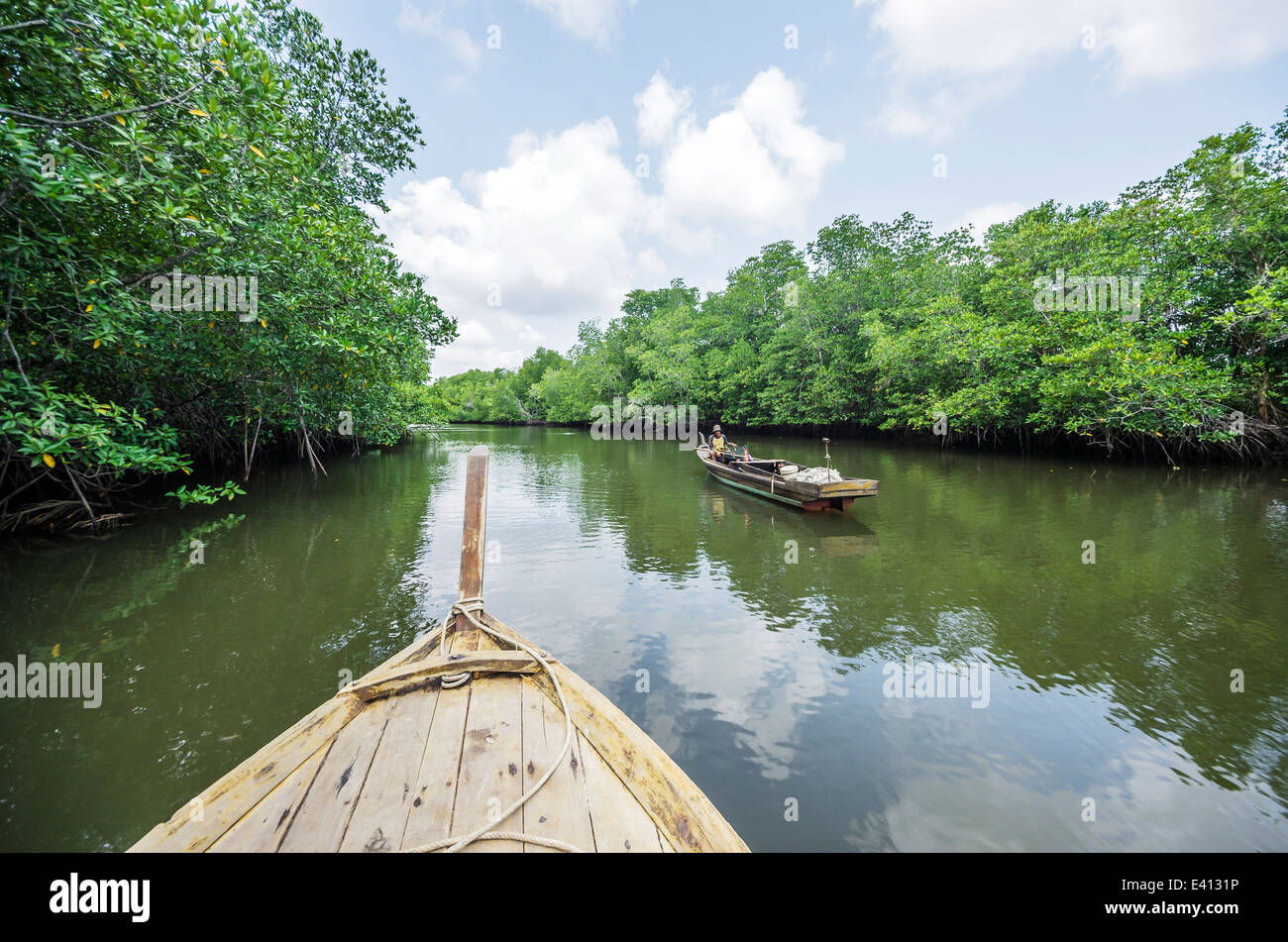 Indonesia, Riau Islands, Bintan Island, Mangrove forest, Fishing boat ...