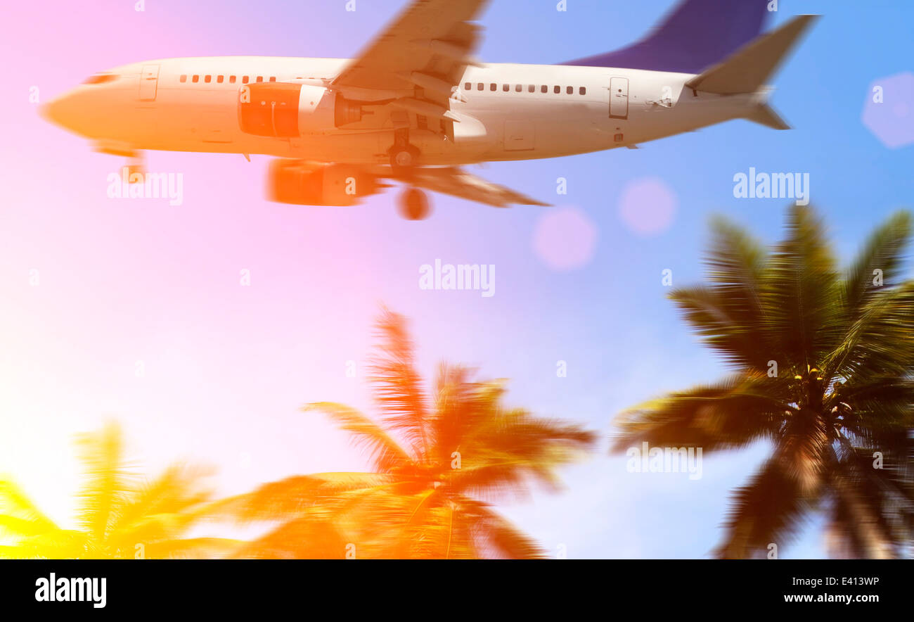 palm and airplane Stock Photo - Alamy