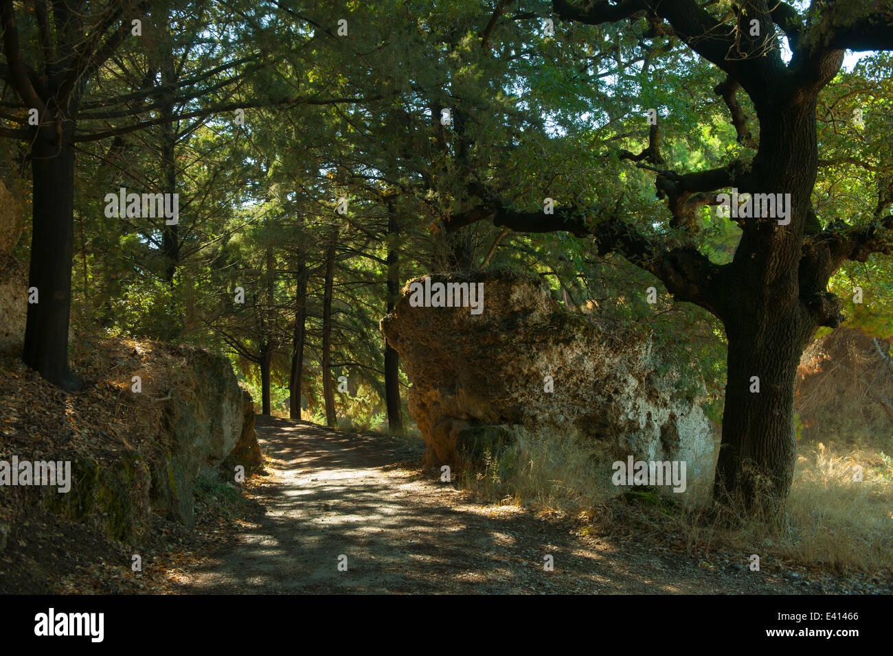 Rhodes rodini park hi-res stock photography and images - Alamy
