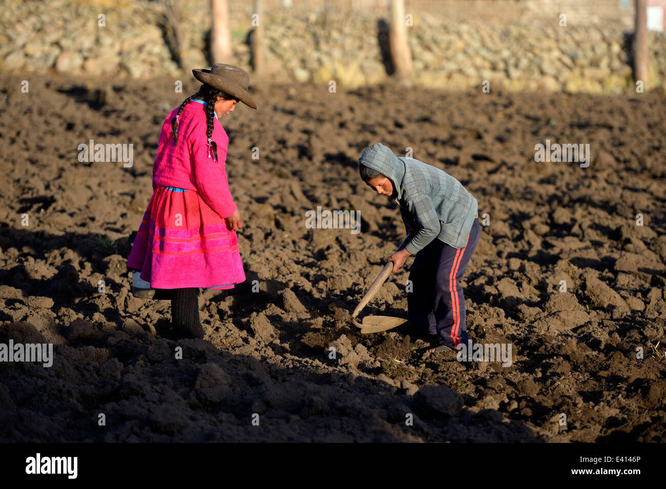 Peru, Ayacucho, Boy and girl working in field Stock Photo - Alamy