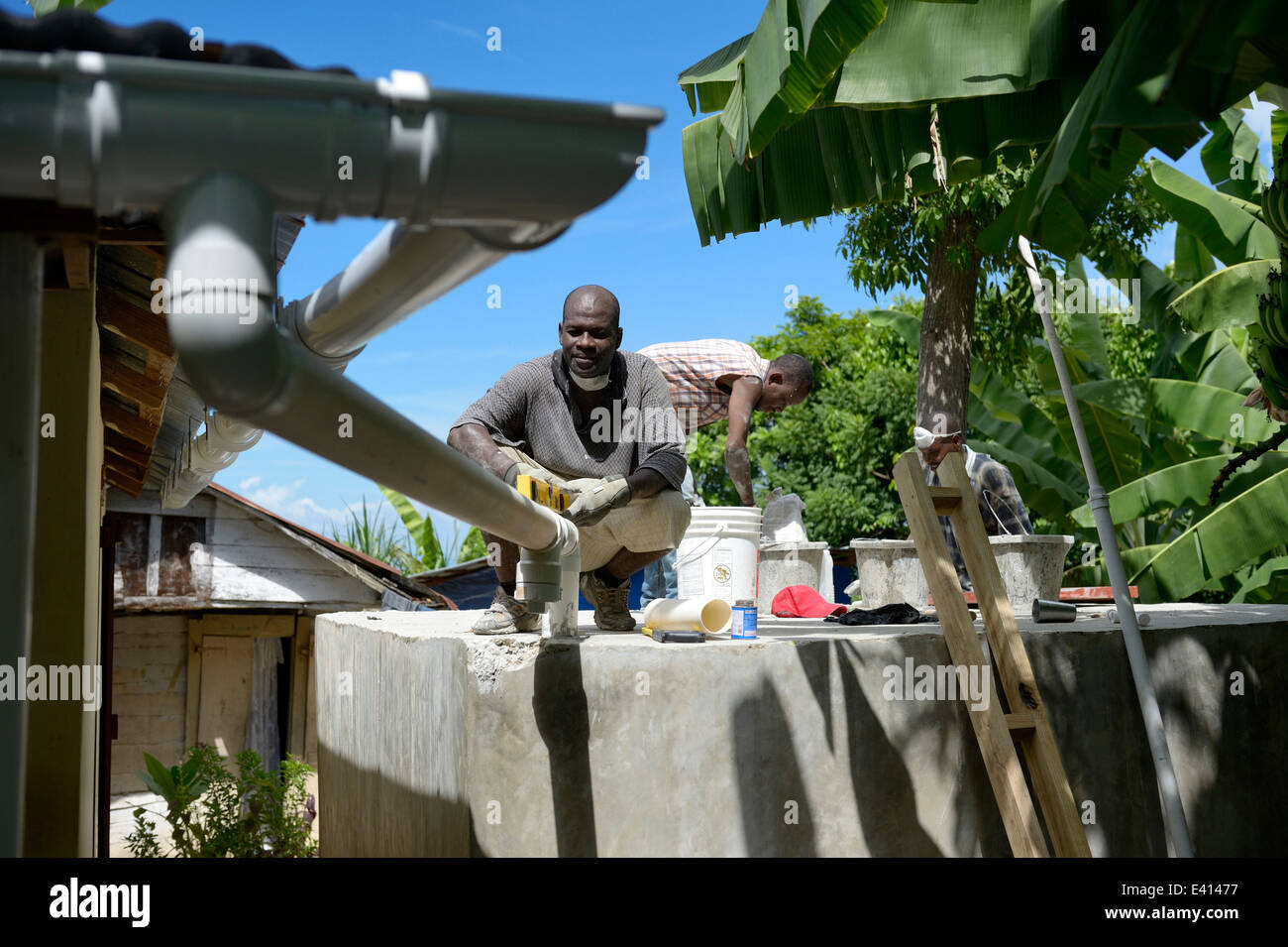 Palmiste hi-res stock photography and images - Alamy