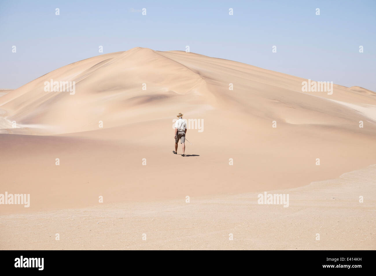 Africa, Namibia, Namib desert, Swakopmund, Dorob National Park, guide ...