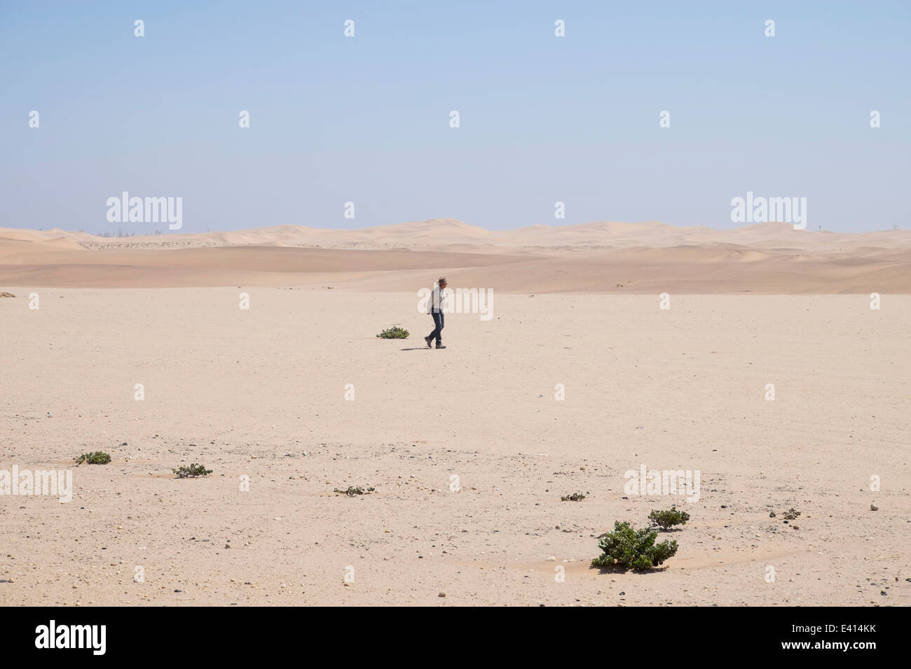 Dorob reserve hi-res stock photography and images - Alamy