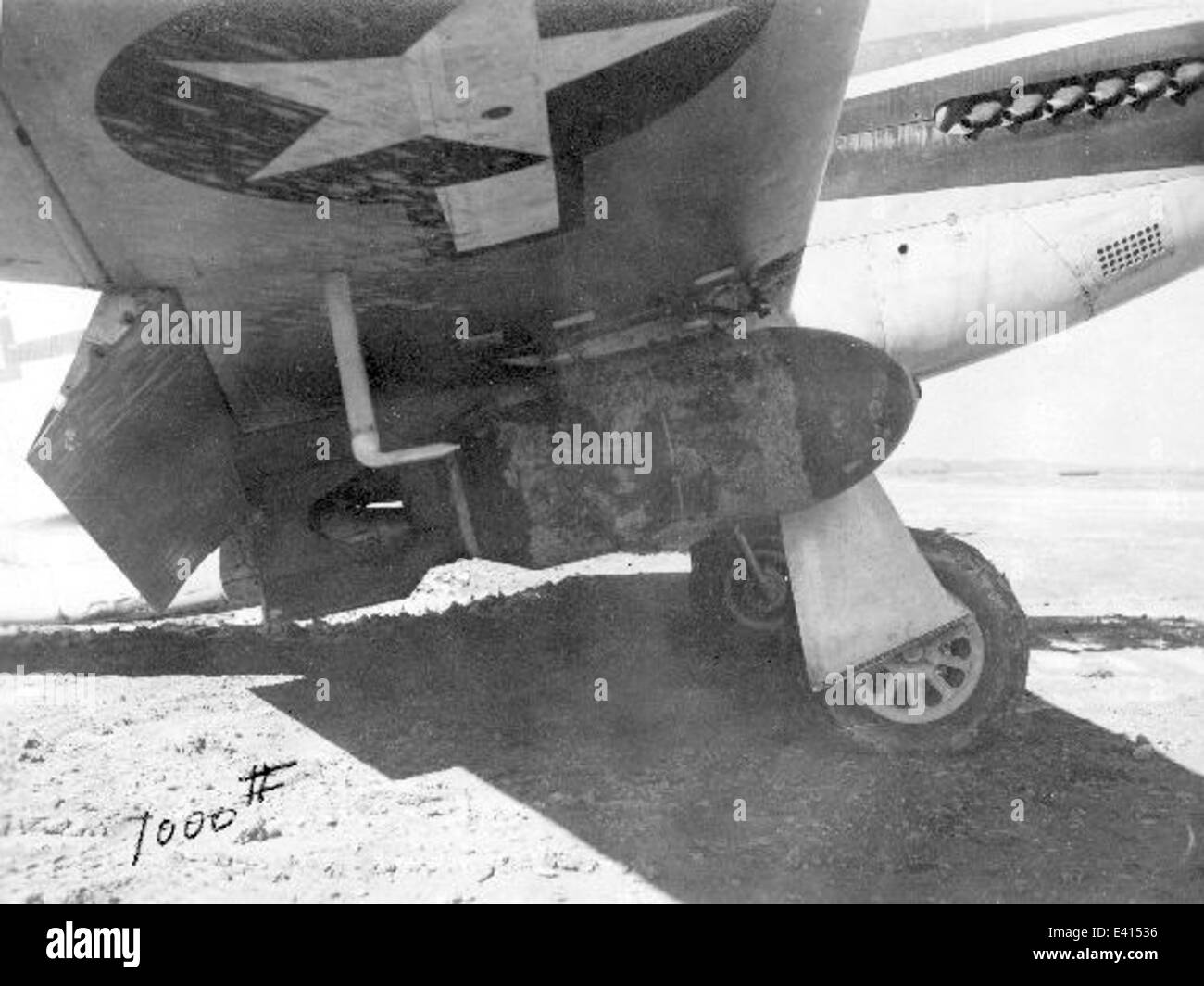 The P-51 Mustang from the 118th Tactical Reconnaissance Squadron ...