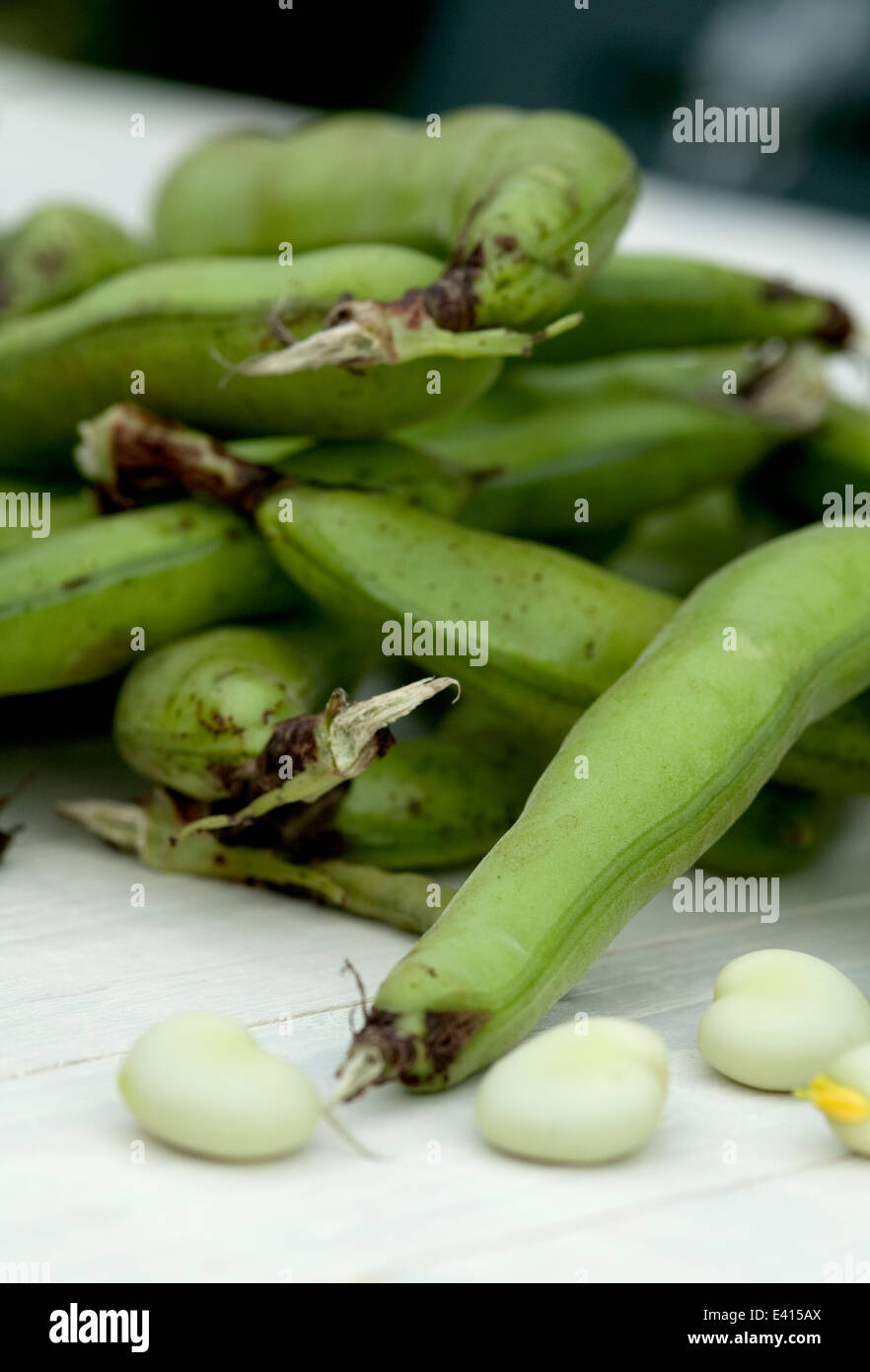 Shelled And Unshelled Beans High Resolution Stock Photography and ...