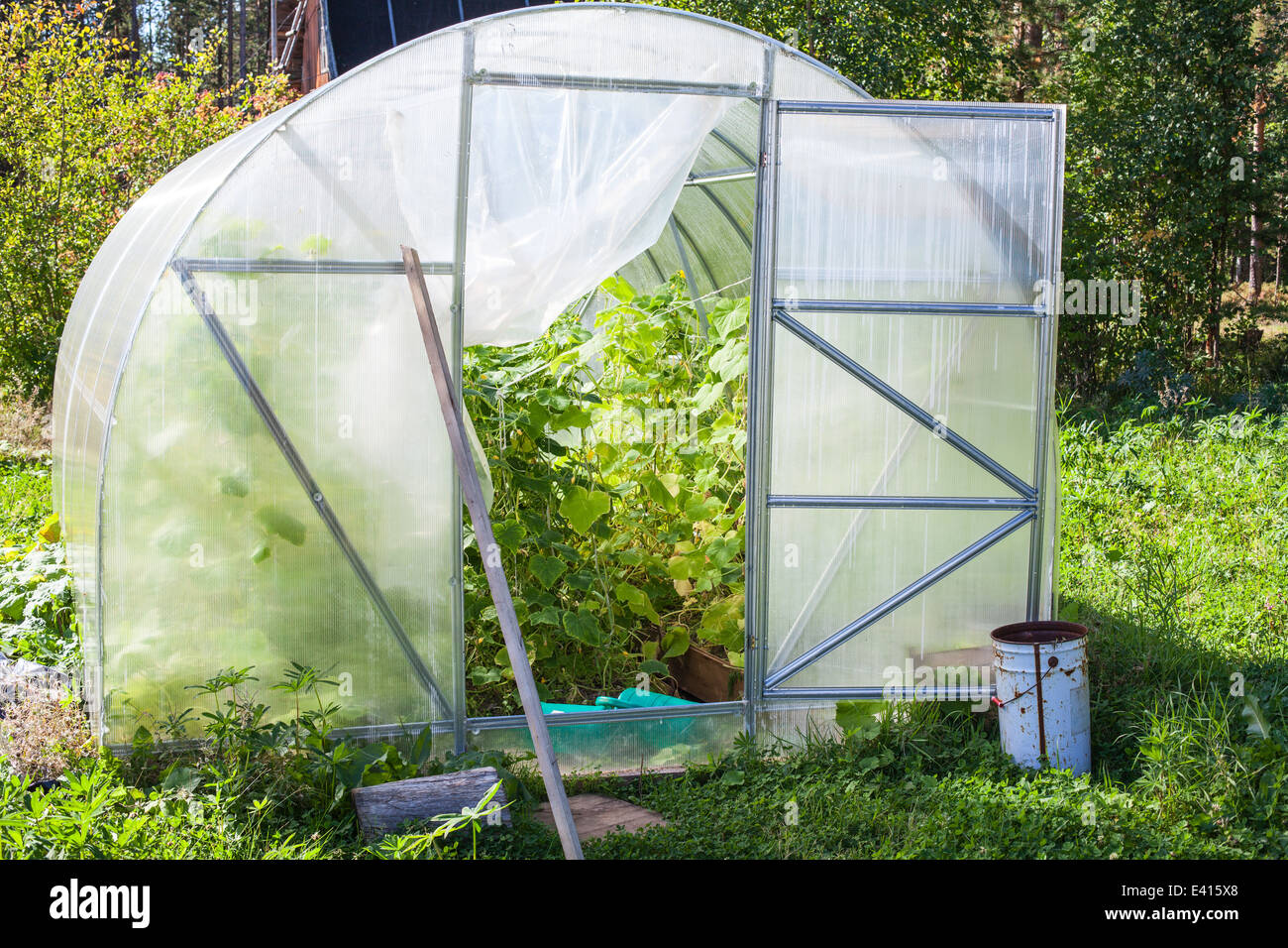 Cucumber frame bed hi-res stock photography and images - Alamy