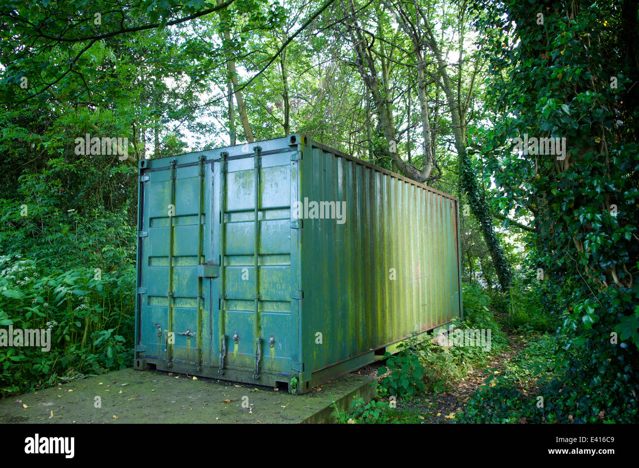 Large steel transport container hidden in woods Stock Photo - Alamy