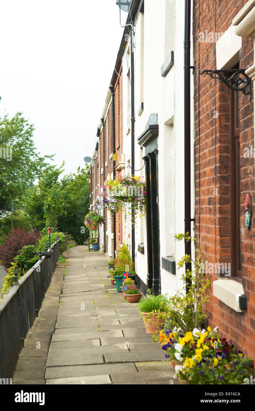 Colourful terrace cottages in summer Stock Photo - Alamy