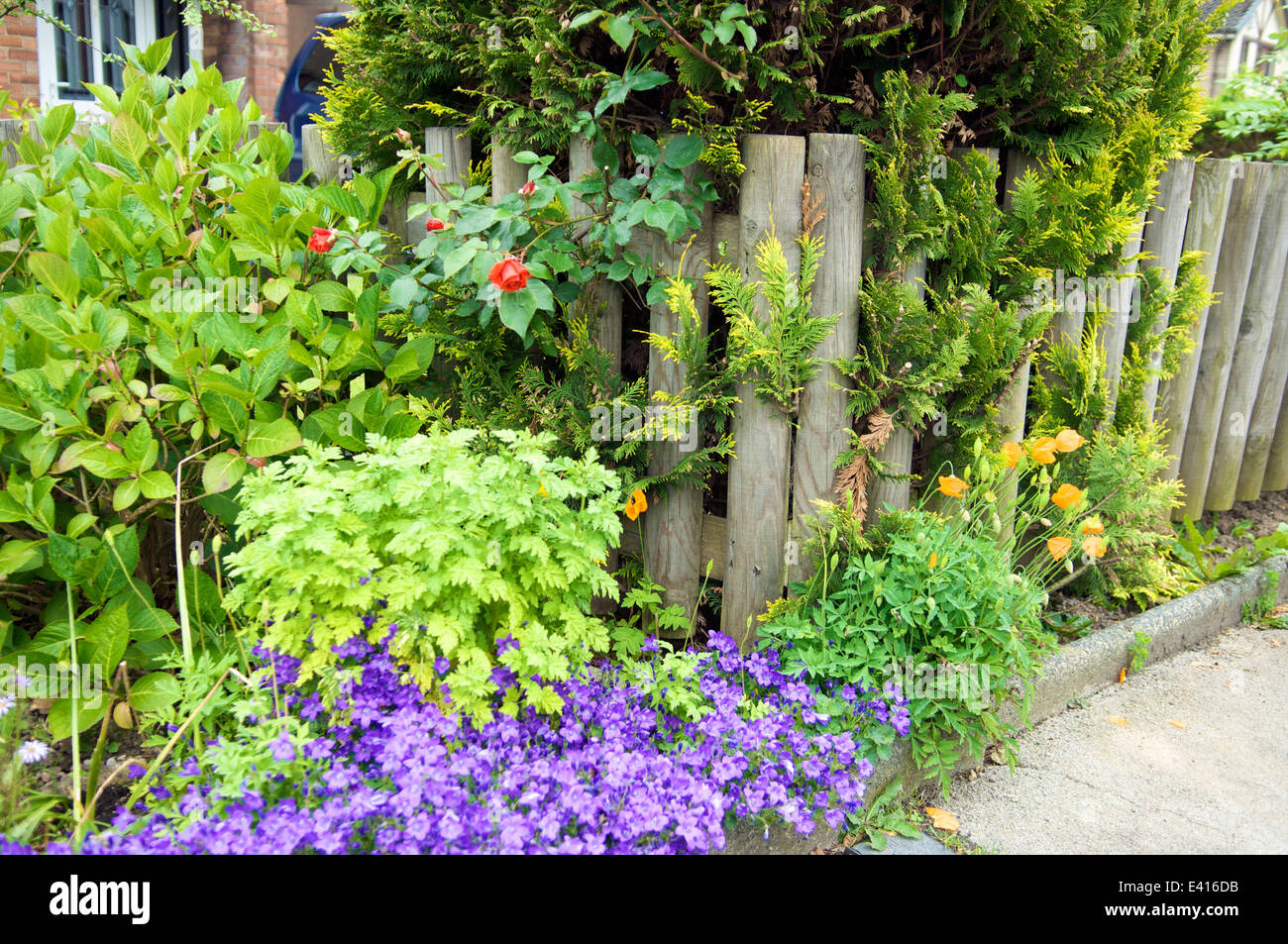 Wooden fence flowers hi-res stock photography and images - Alamy
