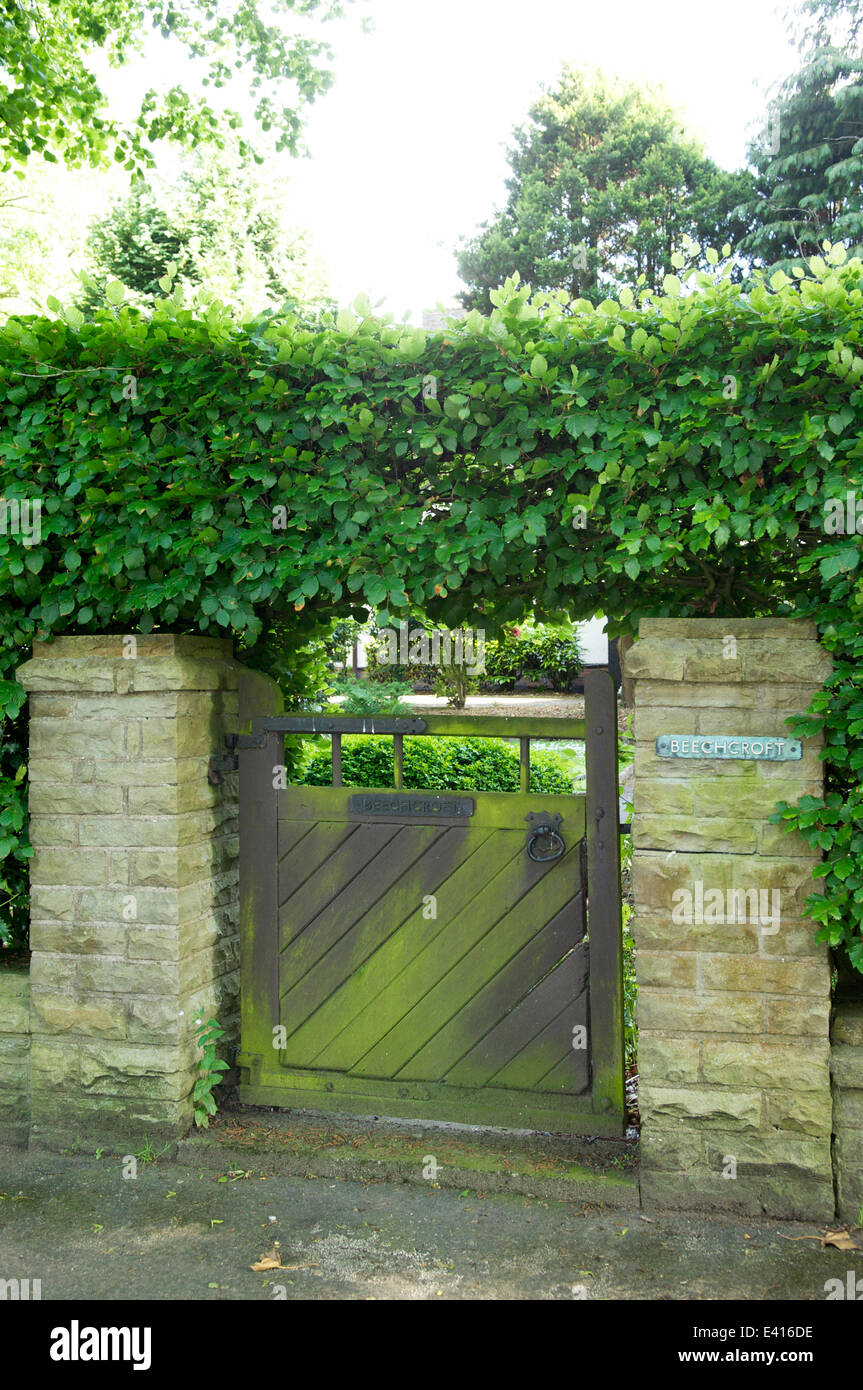 Garden gate with too low hedge over the top Stock Photo - Alamy