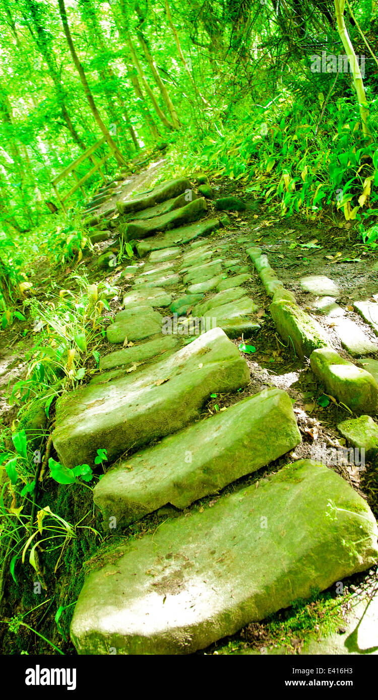 Worn stone pathway hi-res stock photography and images - Alamy