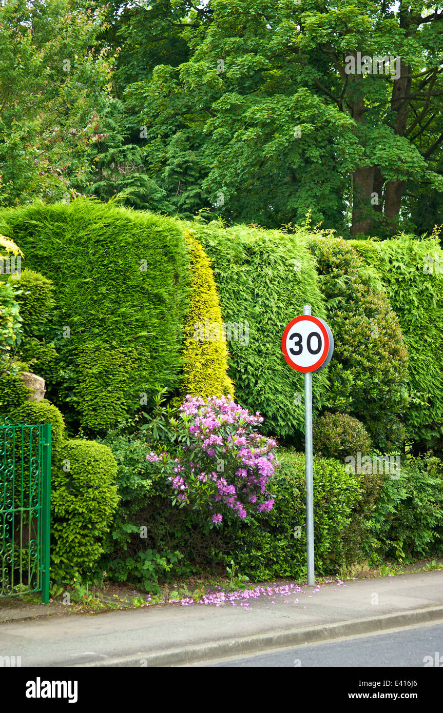 Speed limit sign against smart garden hedge Stock Photo - Alamy