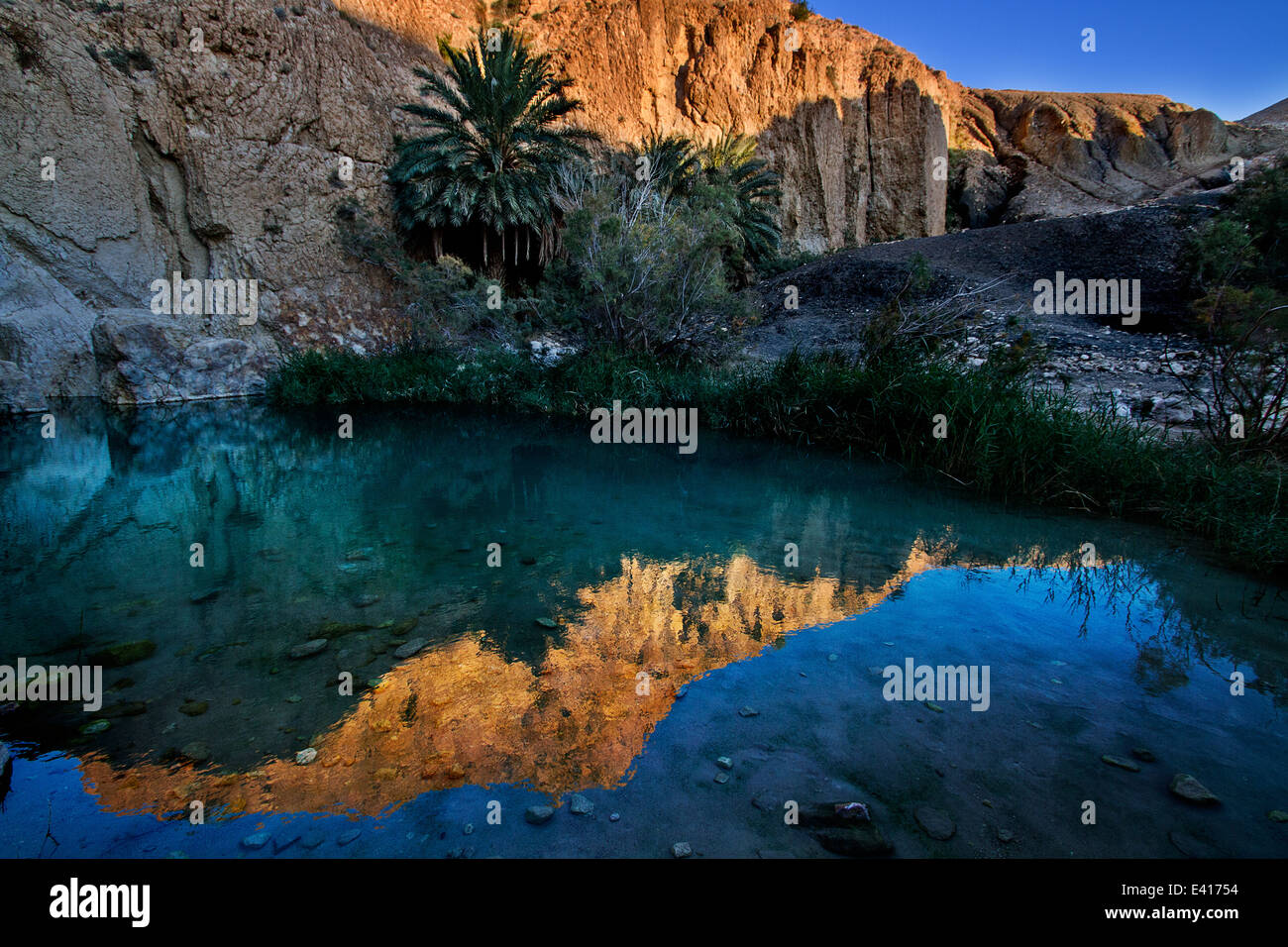 Oasis in the sahara desert tunisia hi-res stock photography and images ...