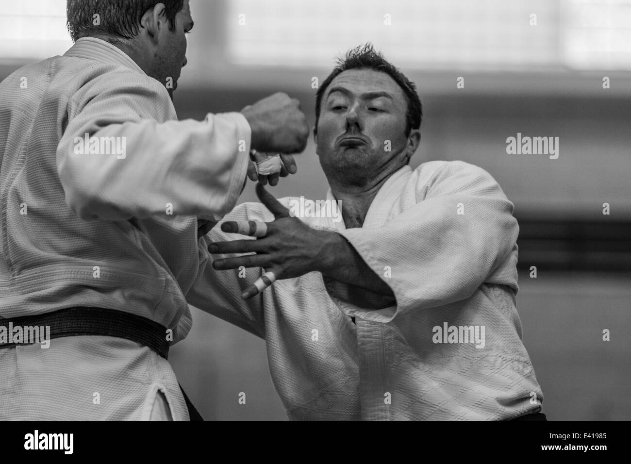 Ju jitsu Black and White Stock Photos & Images - Alamy