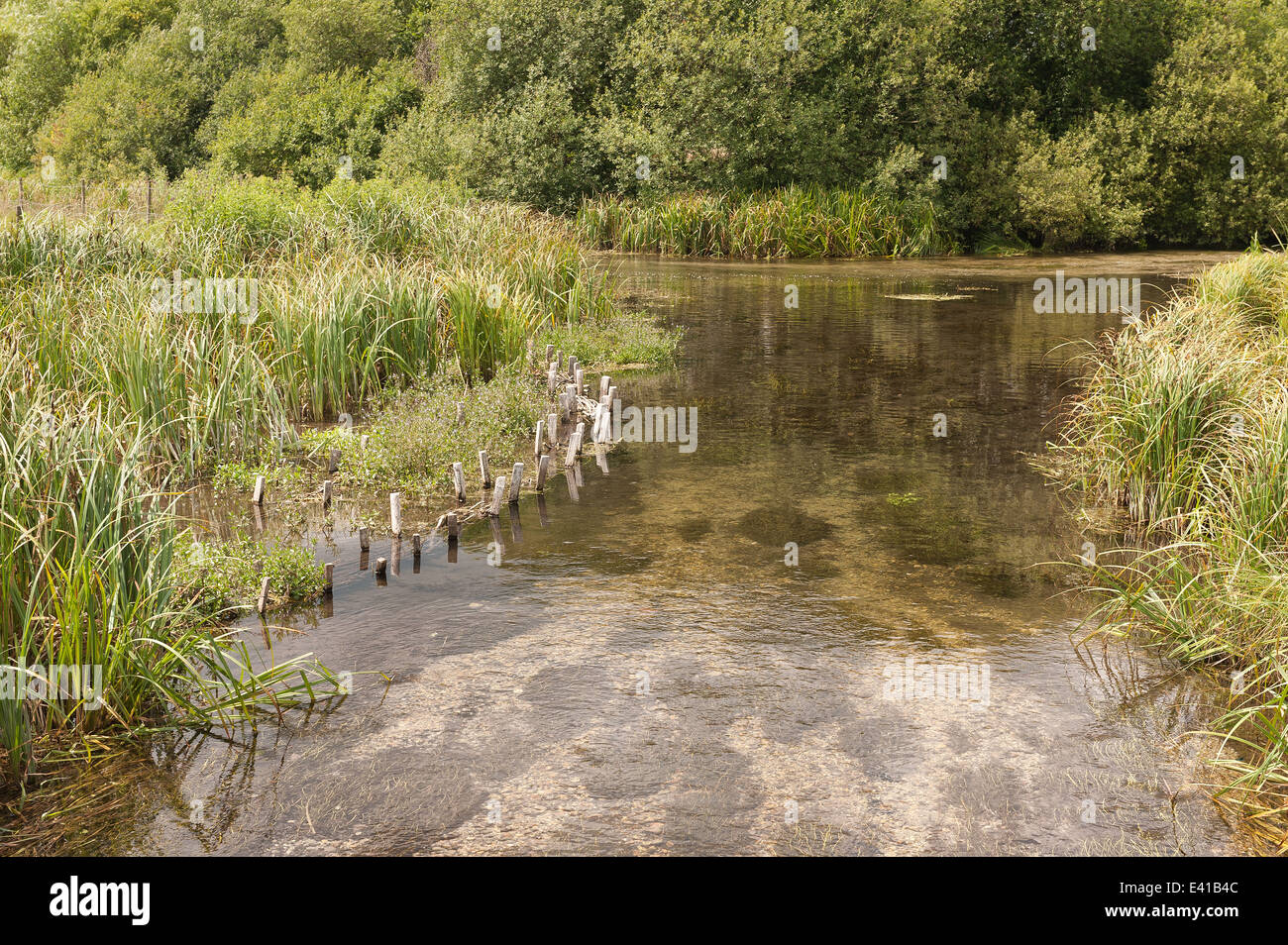 Chalk stream rivers hi-res stock photography and images - Alamy