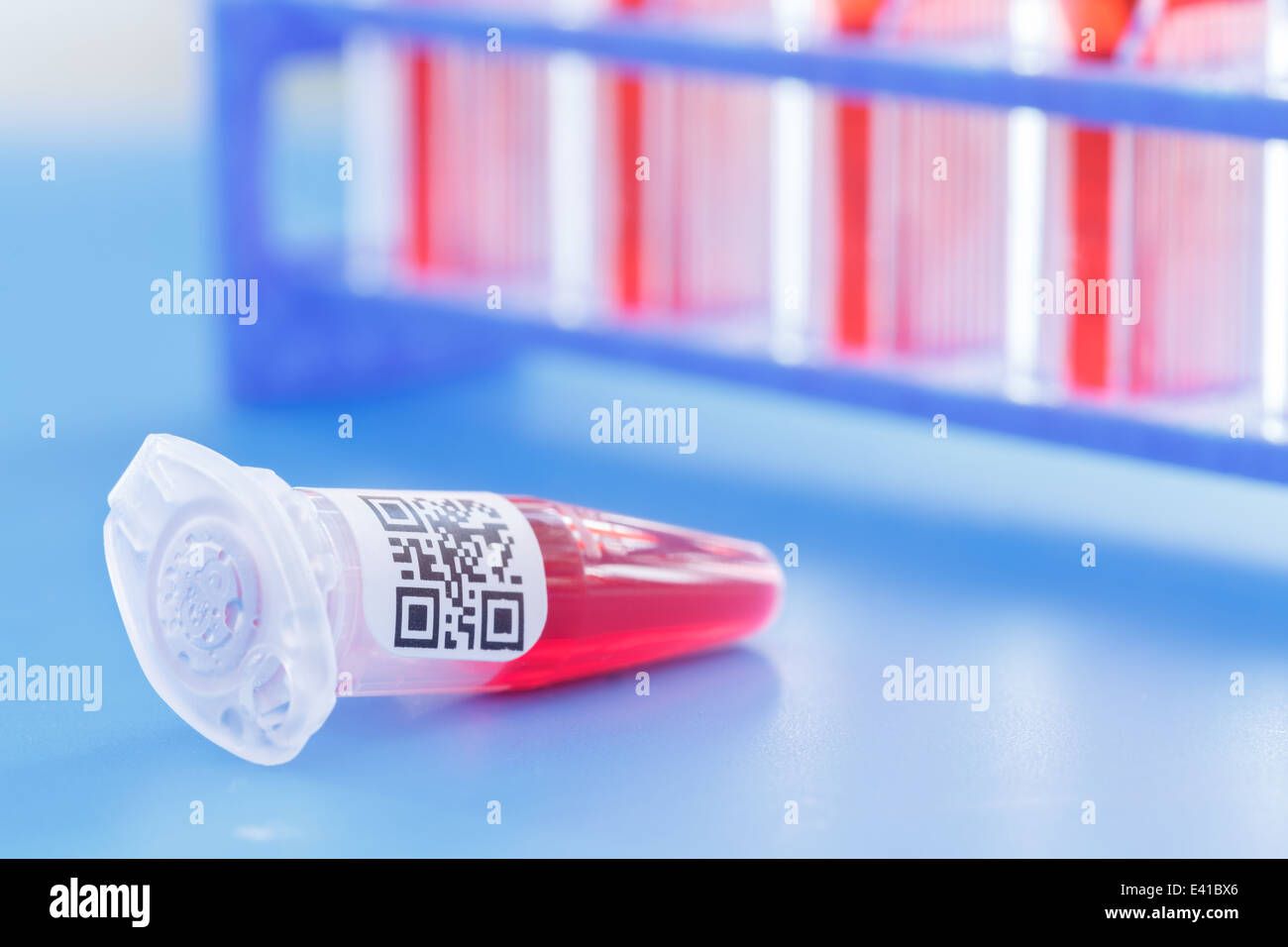 Microbiology laboratory cell cultures in hi-res stock photography and ...