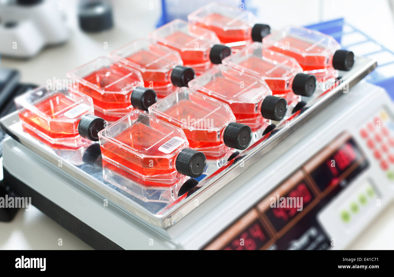 Bacterial Culture Shaker