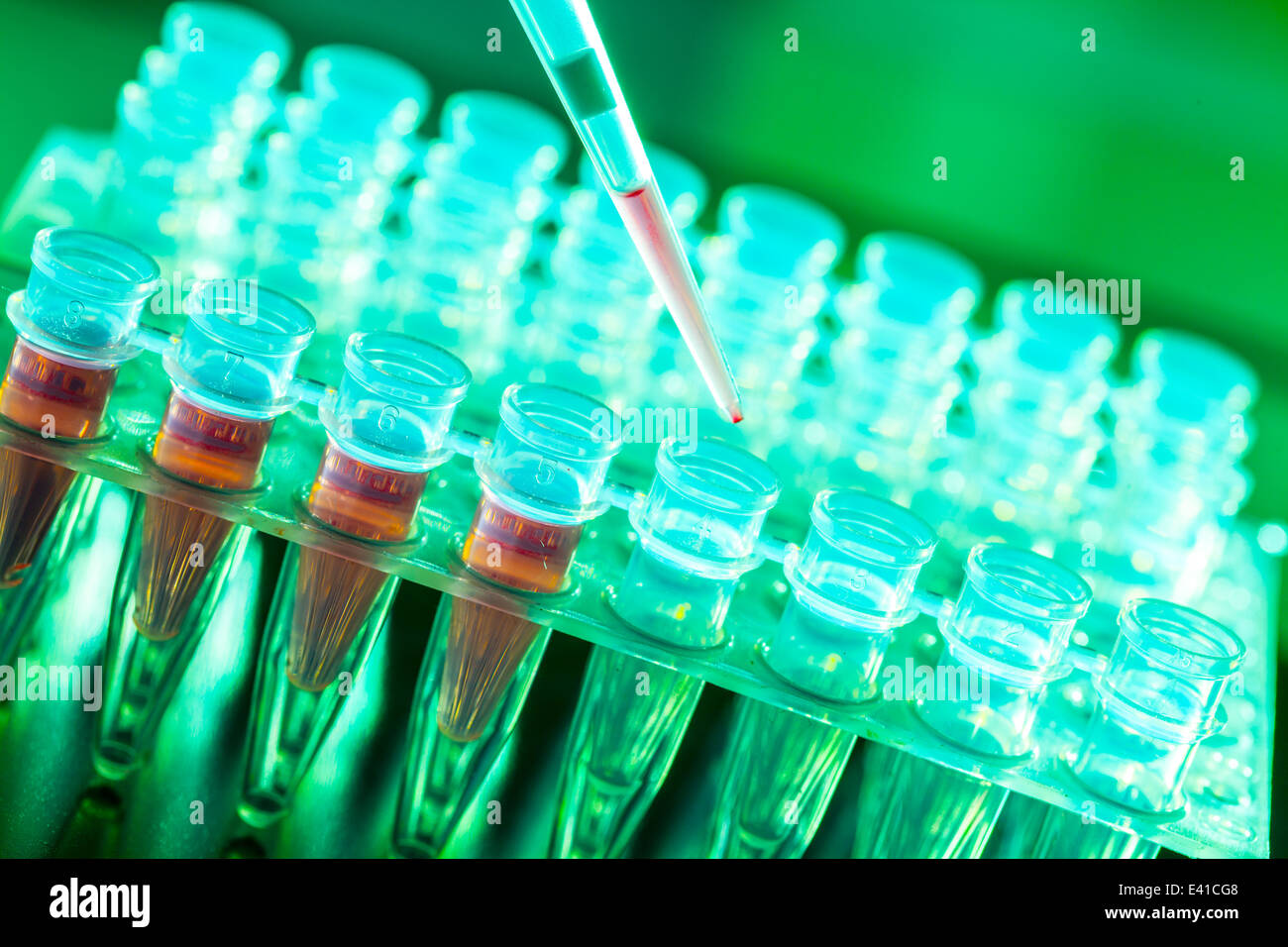 Laboratory research of cancer diseases, rack with RNA samples Stock ...