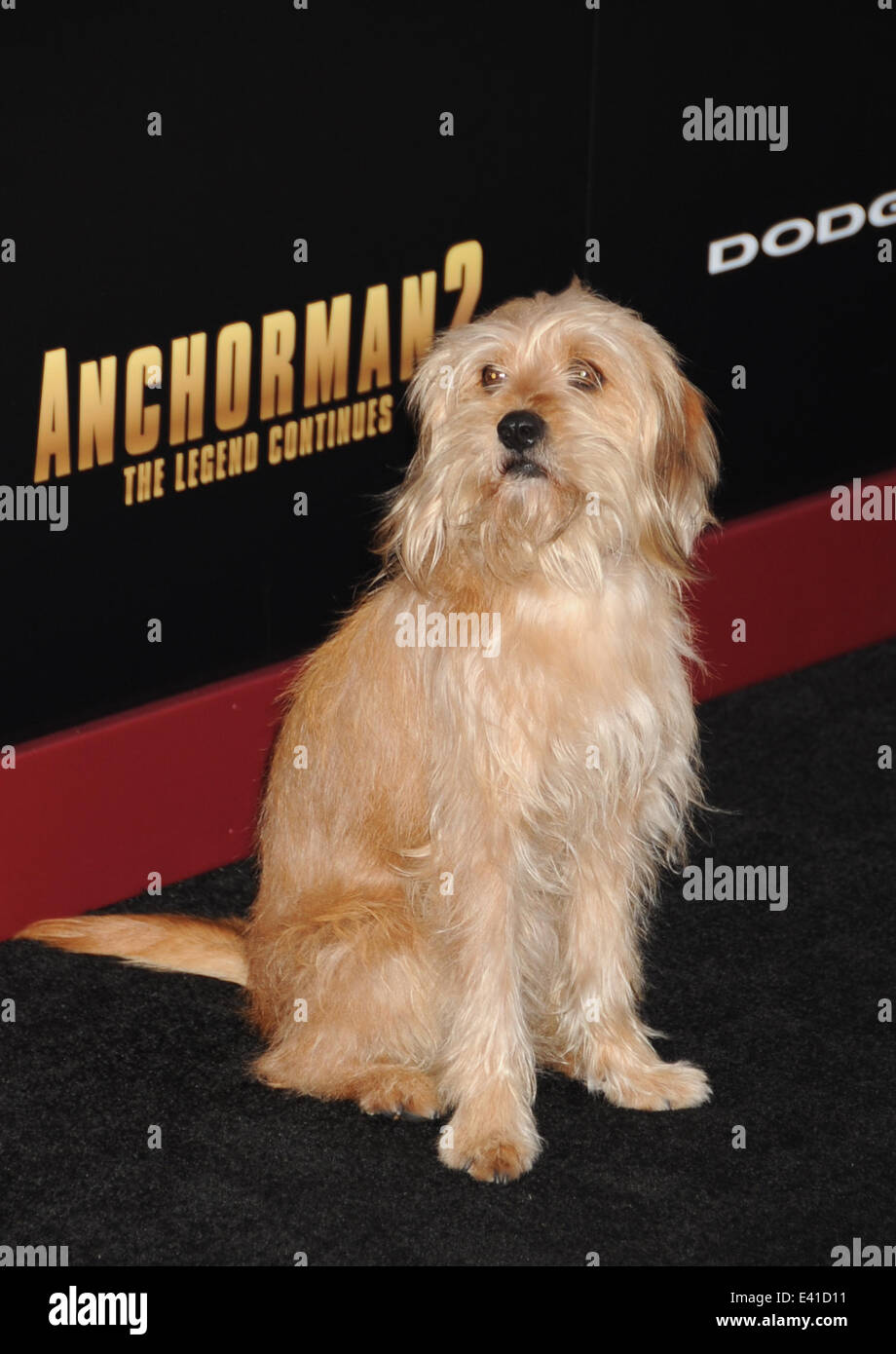 the Anchorman 2: The Legend Continues Premiere, Sponsored by Buffalo ...