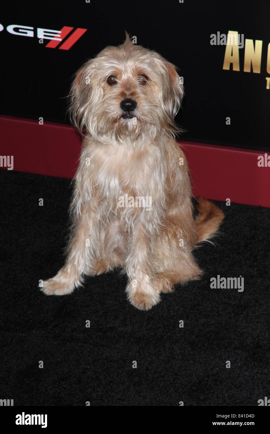 New York premiere of 'Anchorman 2: The Legend Continues' at Beacon ...