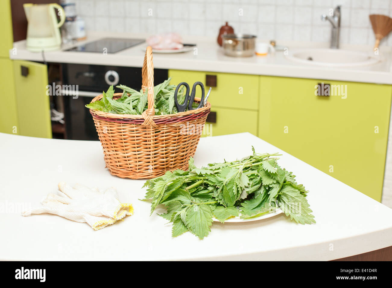 Nettle leaves for cooking vegetarian food on the table Stock Photo - Alamy