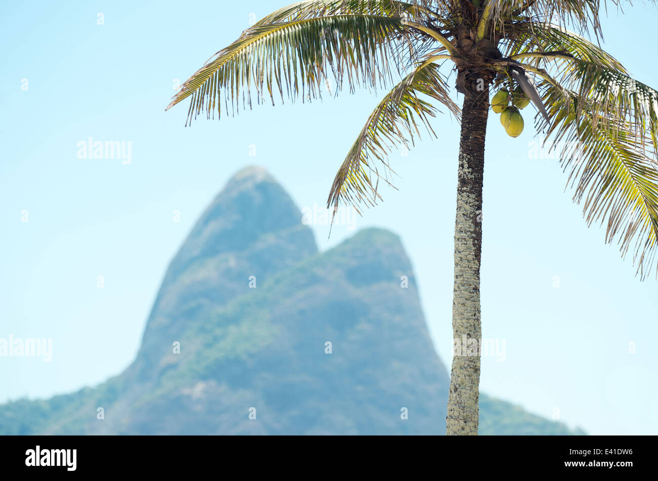 Two Brothers Dois Irmaos Mountain Rio de Janeiro Brazil with palm tree ...