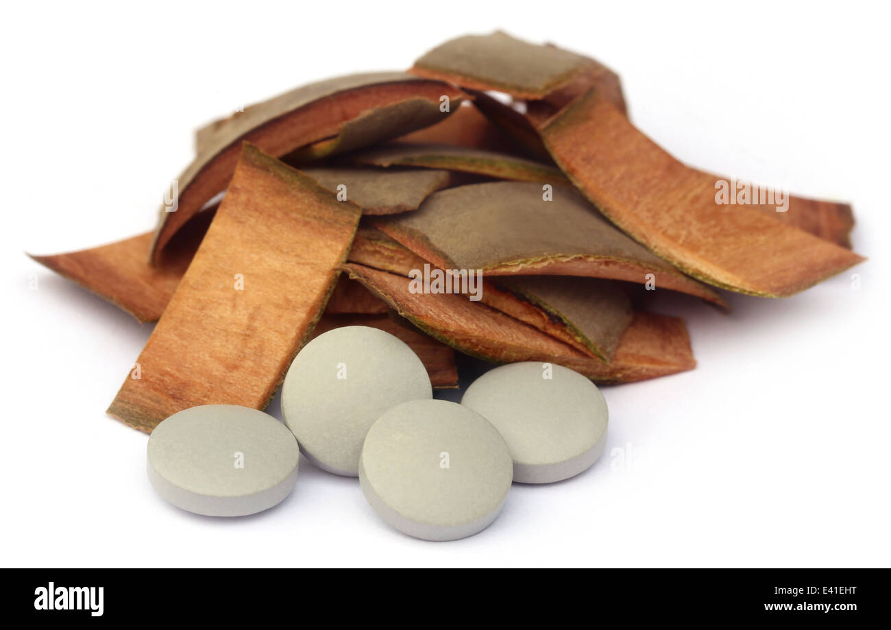 Terminalia arjuna bark hi-res stock photography and images - Alamy