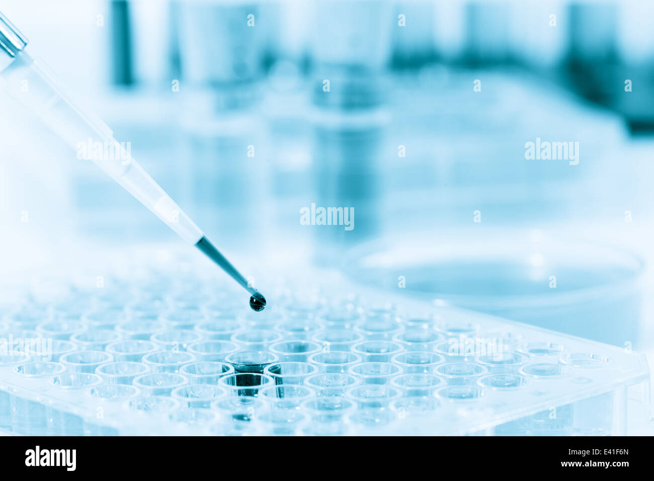 Microtubes and micropipet lab test Stock Photo - Alamy