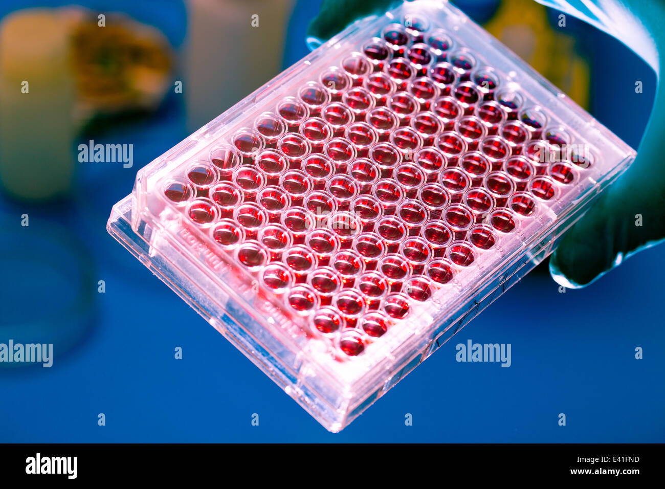 Tubes with genetic samples Stock Photo - Alamy