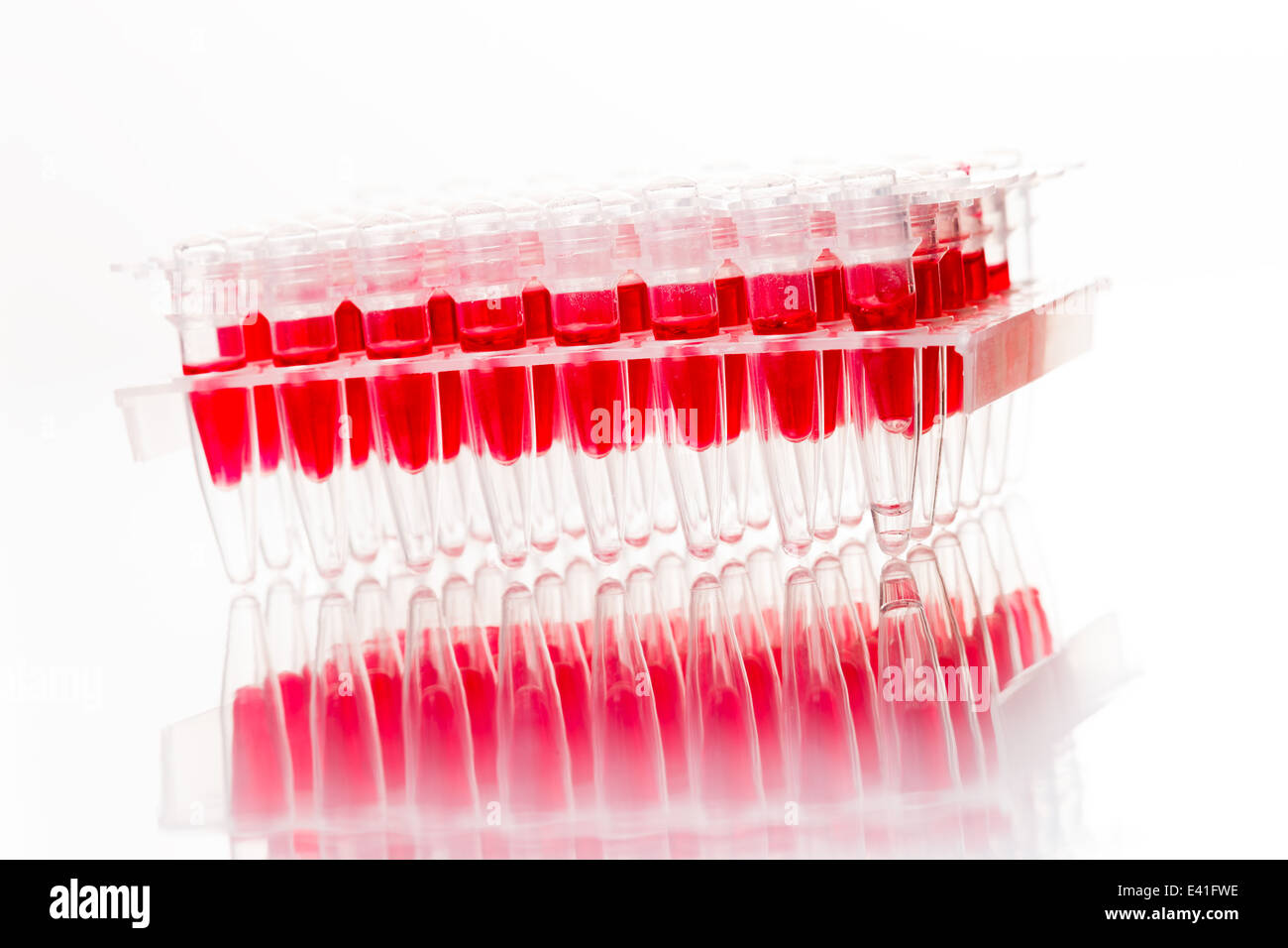 Microbiological Stock Photos & Microbiological Stock Images - Alamy