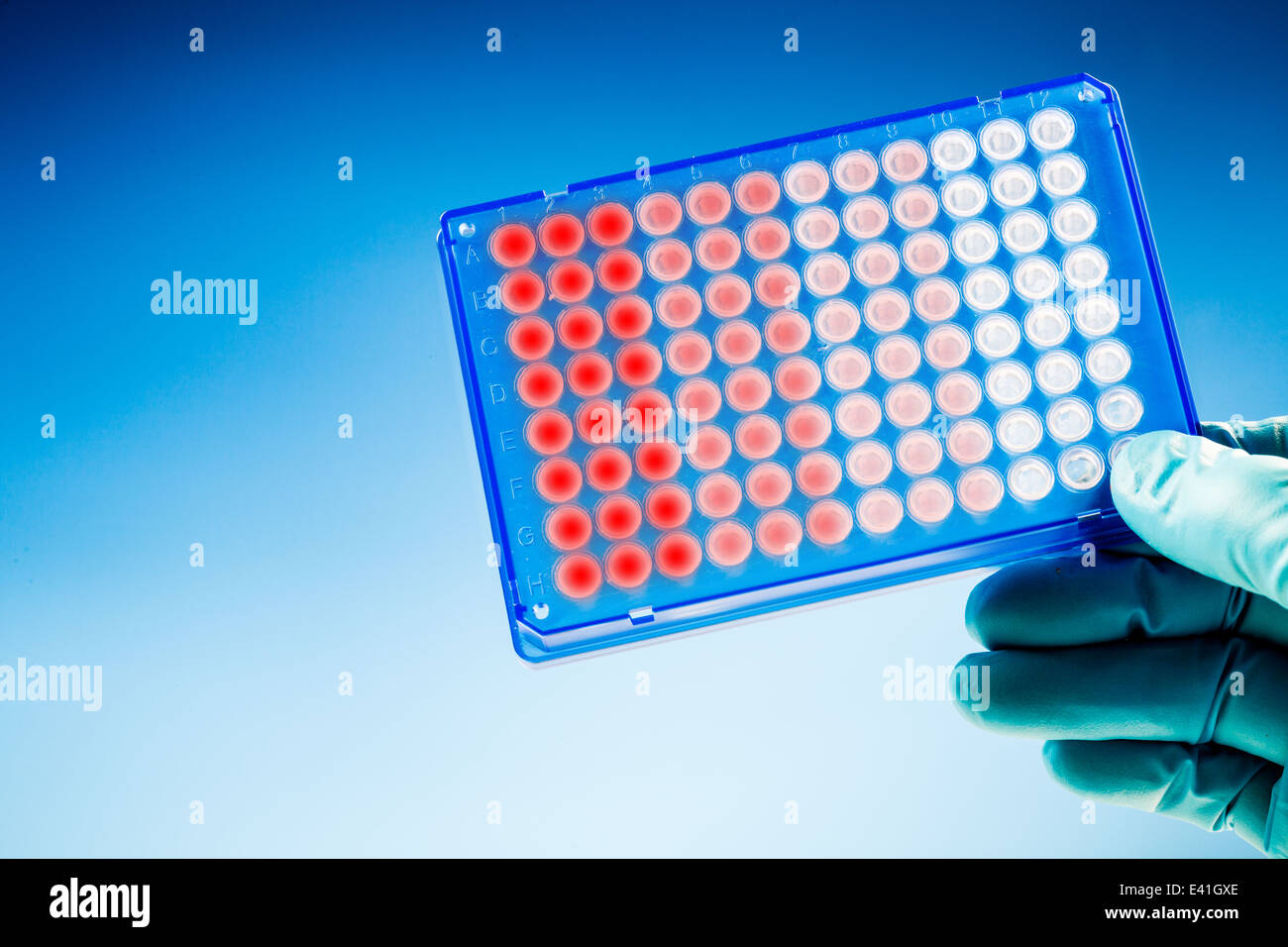 Genetic analysis hi-res stock photography and images - Alamy