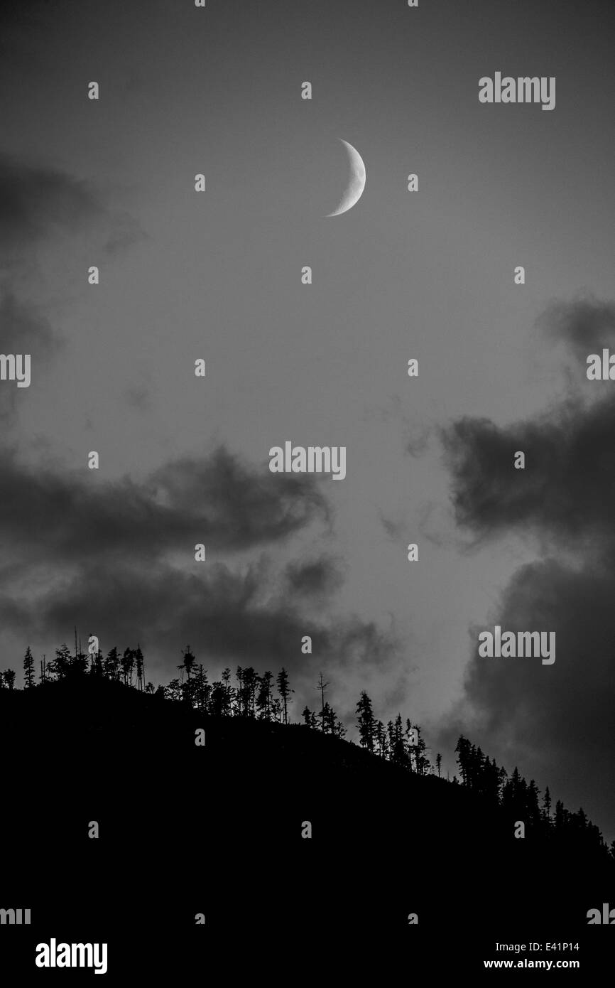 Night time in summer Black and White Stock Photos & Images - Alamy