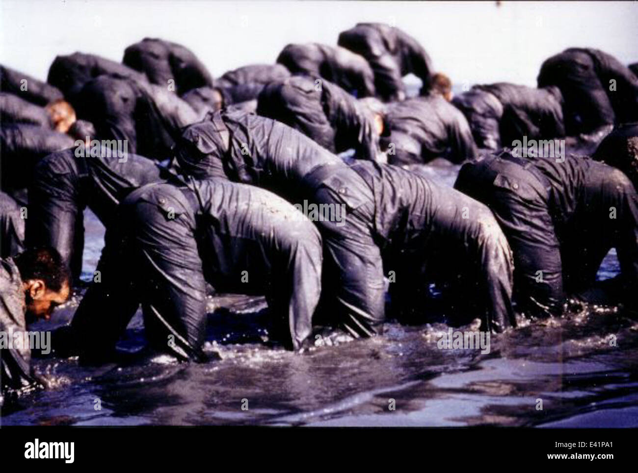 Seal buds training hi-res stock photography and images - Alamy