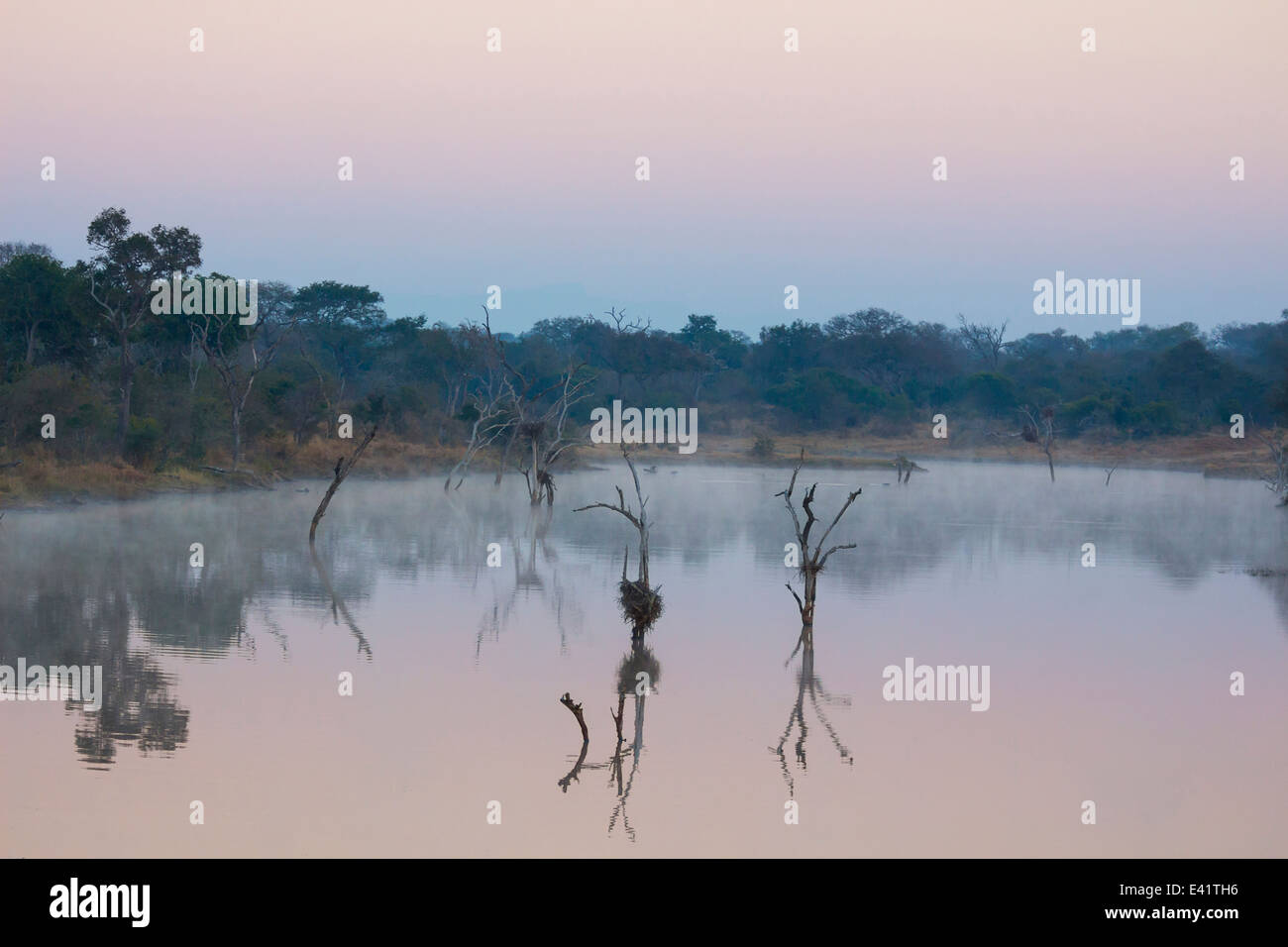 Dusk over a misty dam in the wild Stock Photo - Alamy