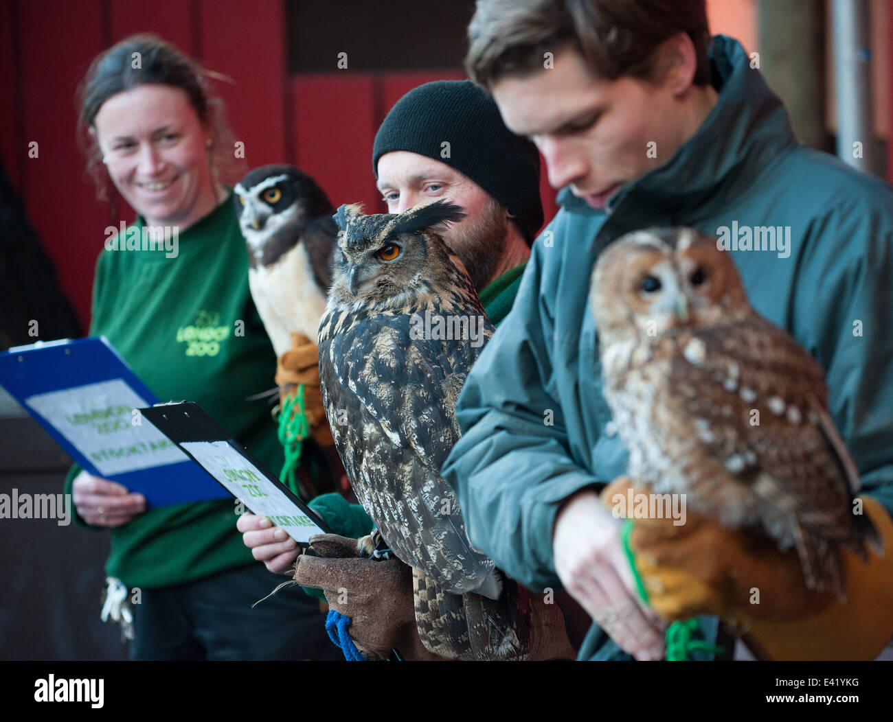 All the animals are counted during the annual stock take at ZSL London ...
