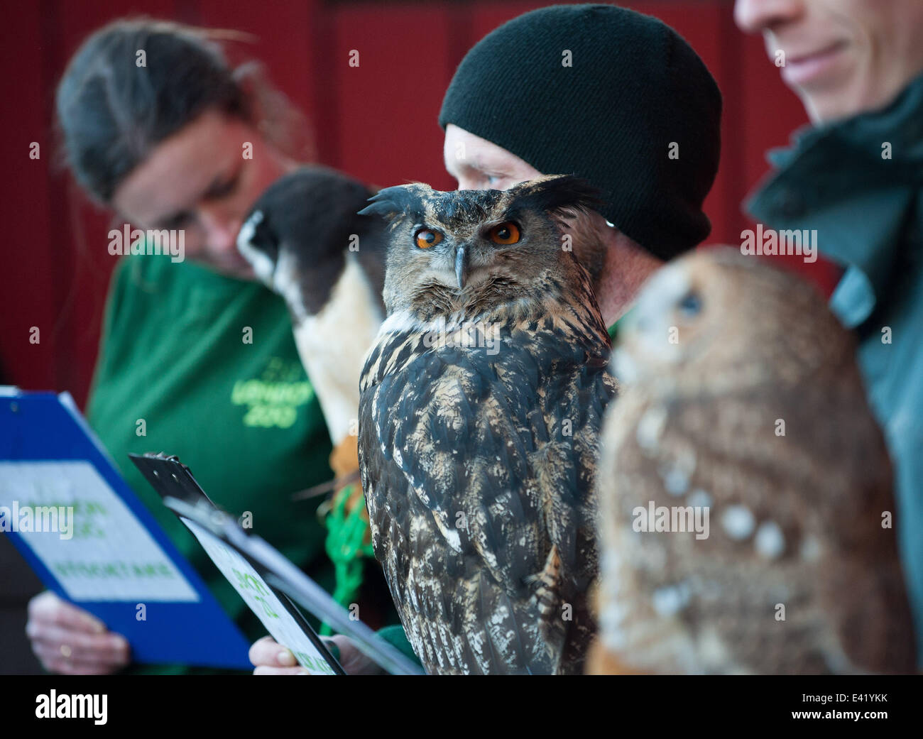 All the animals are counted during the annual stock take at ZSL London ...