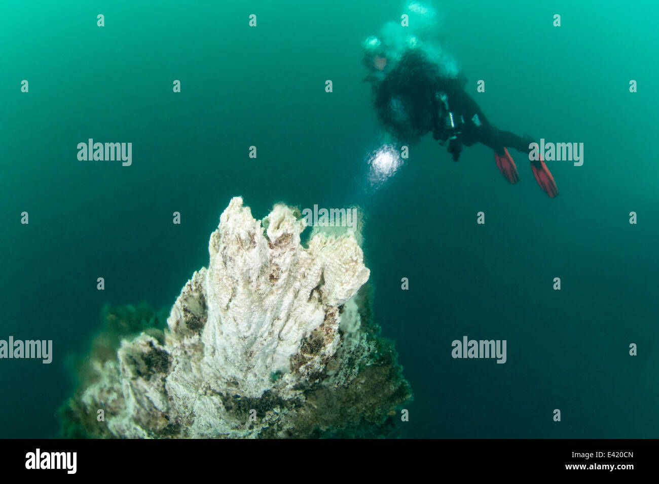 Strytan, Geothmal underwater chimney, Strytan, Akureyri, Eyjafjord ...