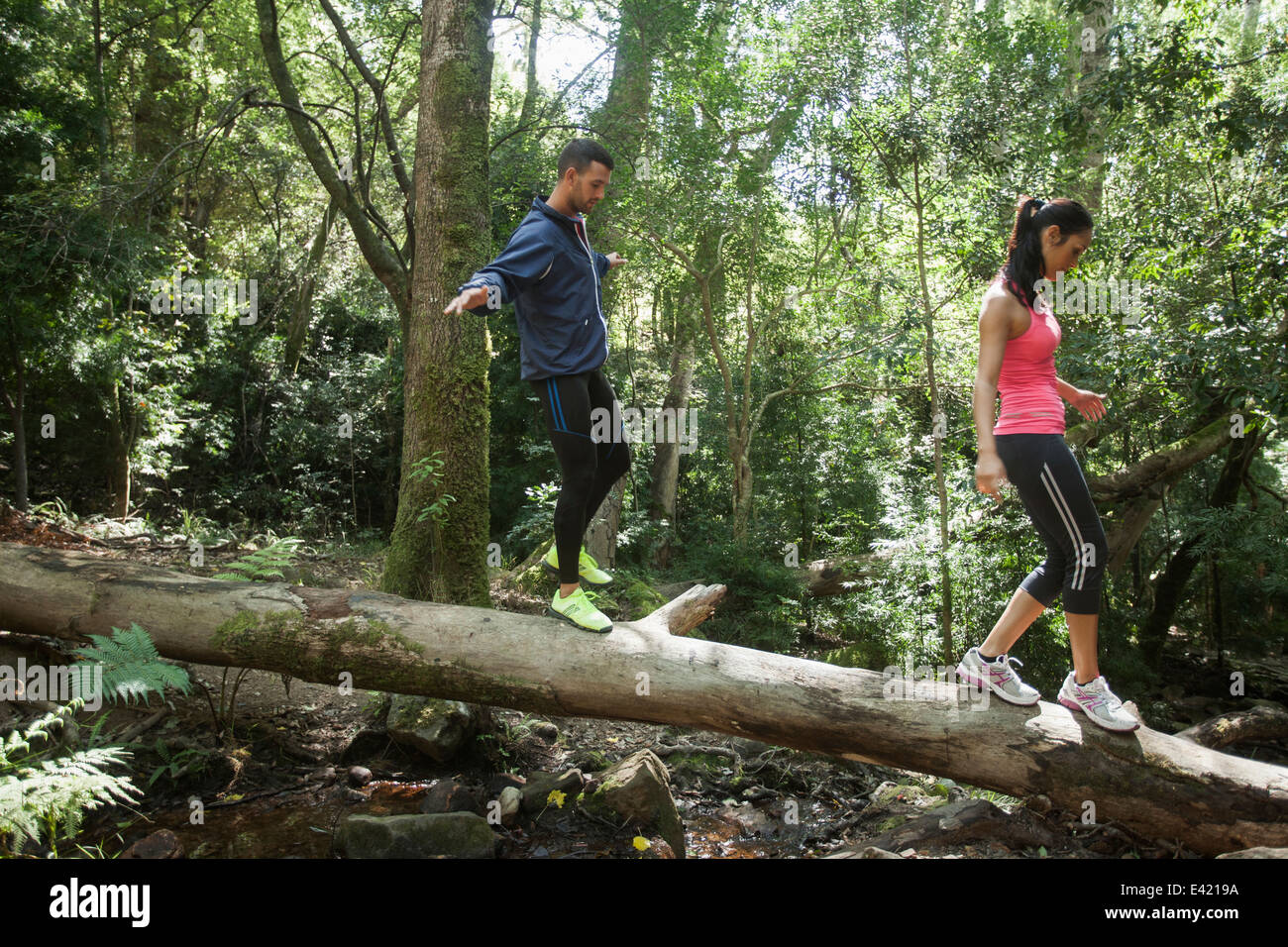 Balancing on tree hi-res stock photography and images - Alamy