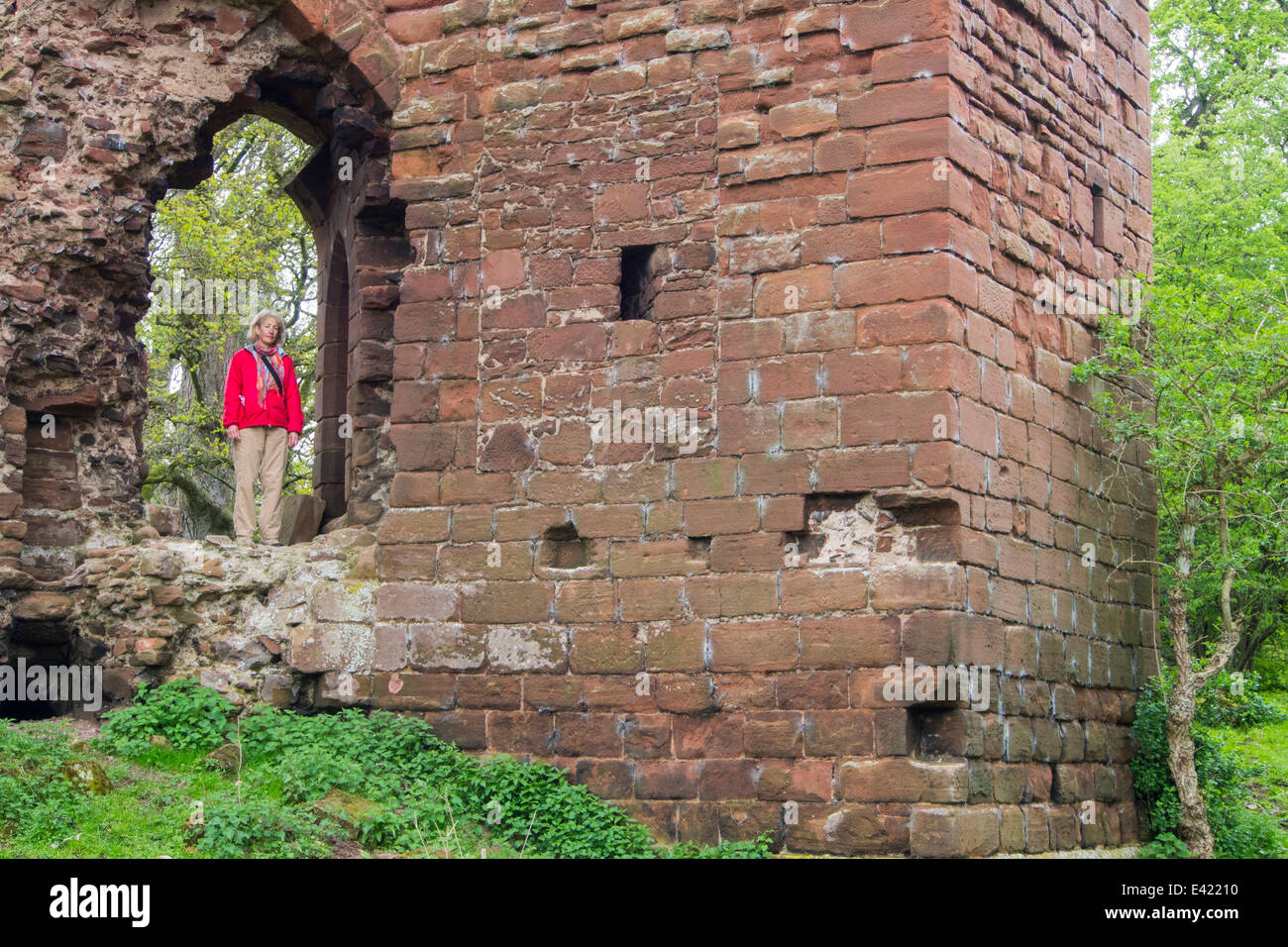 The remains of Kirkoswold Castle in the Eden Valley, Cumbria, UK Stock ...