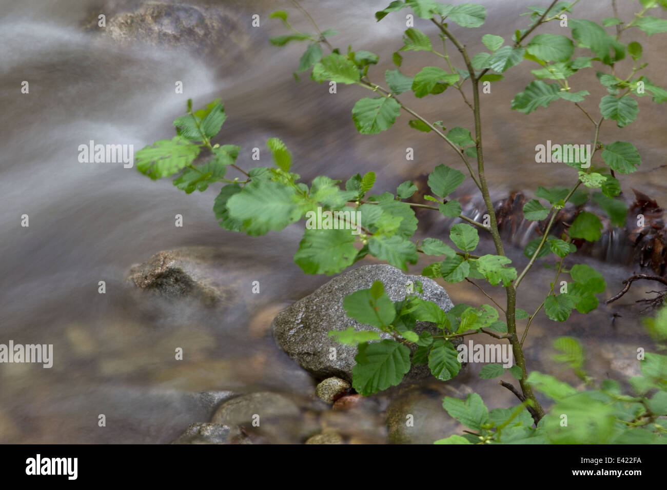 Struma river hi-res stock photography and images - Alamy