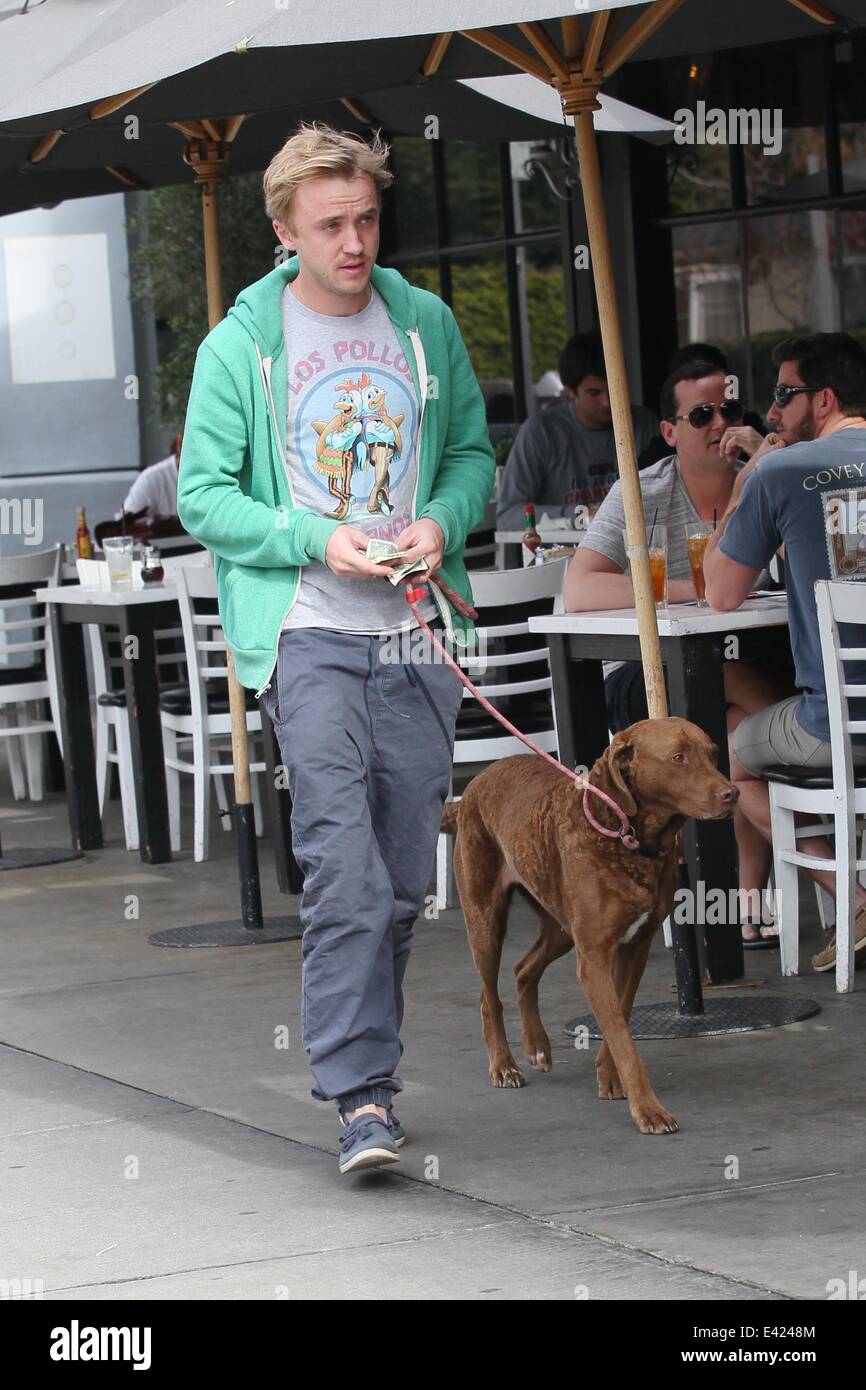 Daniel Radcliffe Walking Dogs